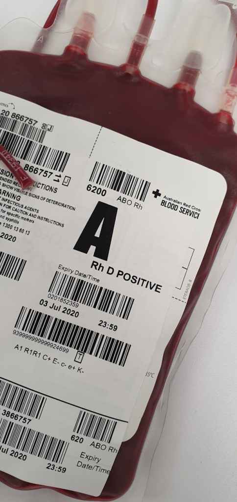 Blood Types Flashcards & Games – Middle School Science Lessons
