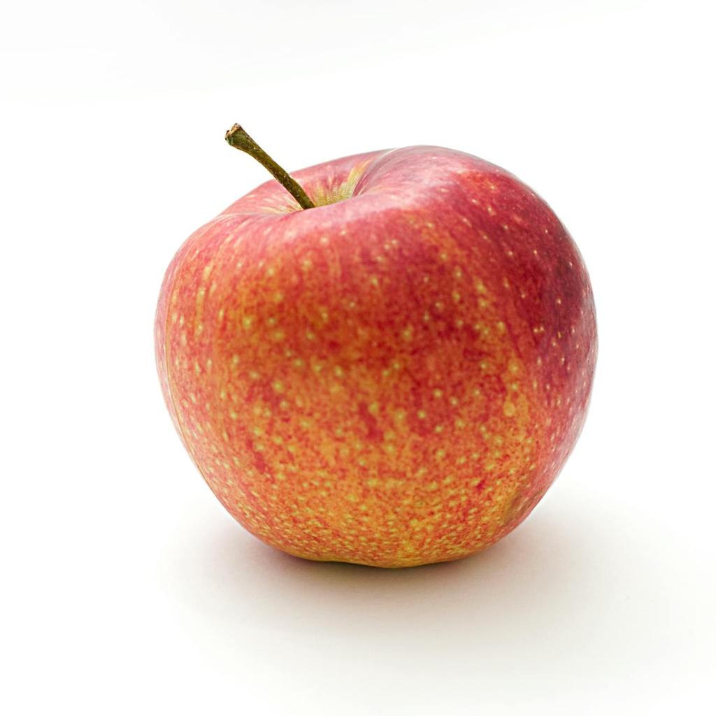 Apple Observations – Middle School Science Lessons