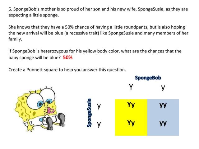 Genetics Worksheet Part 1