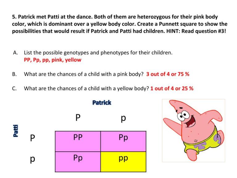 Genetics with SpongeBob – Learning how to use Punnett Squares – Middle ...