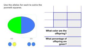 Plastic Egg Genetics – Middle School Science Lessons