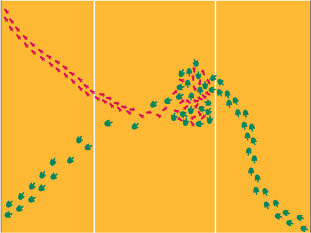Mystery Footprints – Observation vs. Inference – Middle School Science Blog