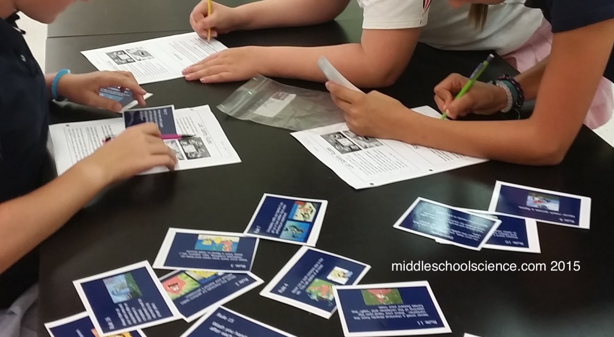 SpongeBob Safety Rules and Scenarios Activity – Middle School Science ...