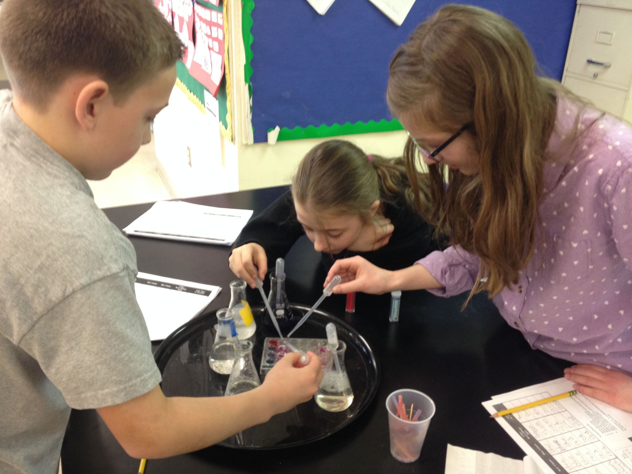 Cabbage Juice Lab – pH indicator – Middle School Science Lessons
