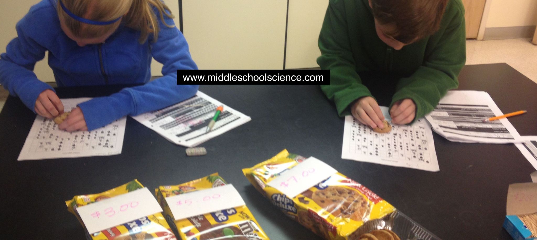 Chocolate Chip Cookie Mining Simulation – Middle School Science Lessons