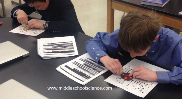 Chocolate Chip Cookie Mining Simulation – Middle School Science Blog