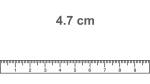 Metric Ruler – Guided Practice for cm & mm – Middle School Science Lessons