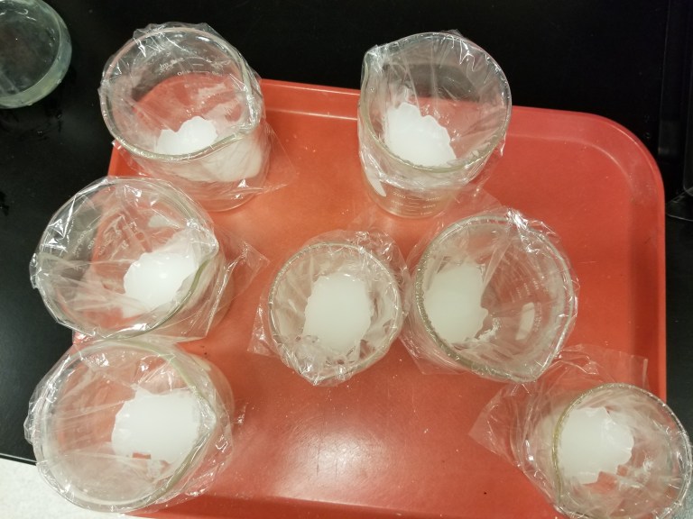 Diffusion Lab – Iodine and Cornstarch – Middle School Science Lessons