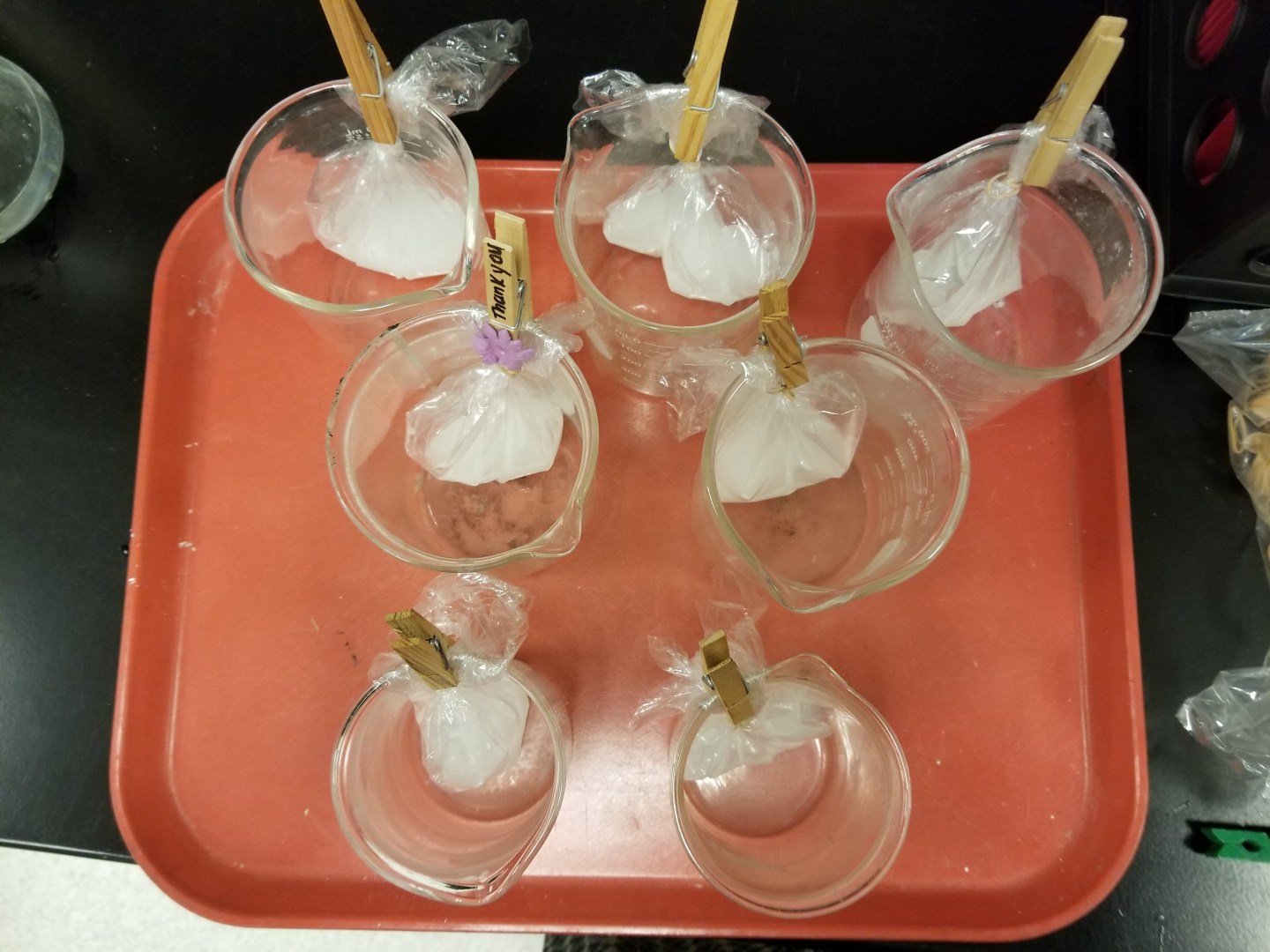Diffusion Lab – Iodine and Cornstarch – Middle School Science Lessons