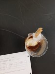 Diffusion Lab – Iodine and Cornstarch – Middle School Science Lessons