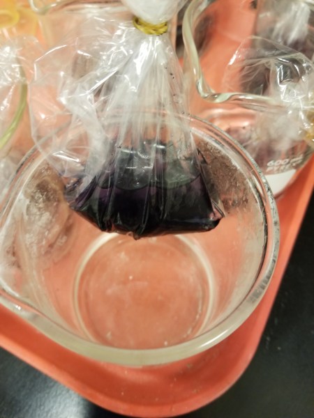 Diffusion Lab – Iodine & Cornstarch – Middle School Science Lessons