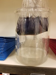 Diffusion Lab – Iodine and Cornstarch – Middle School Science Lessons