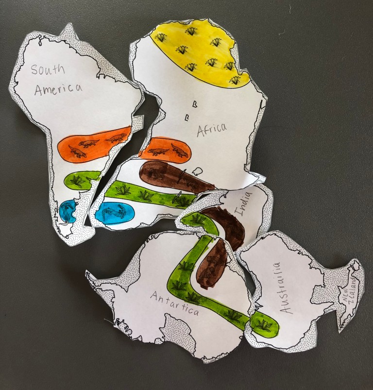 Continental Drift – Pangea Puzzle Activity – Middle School Science Lessons