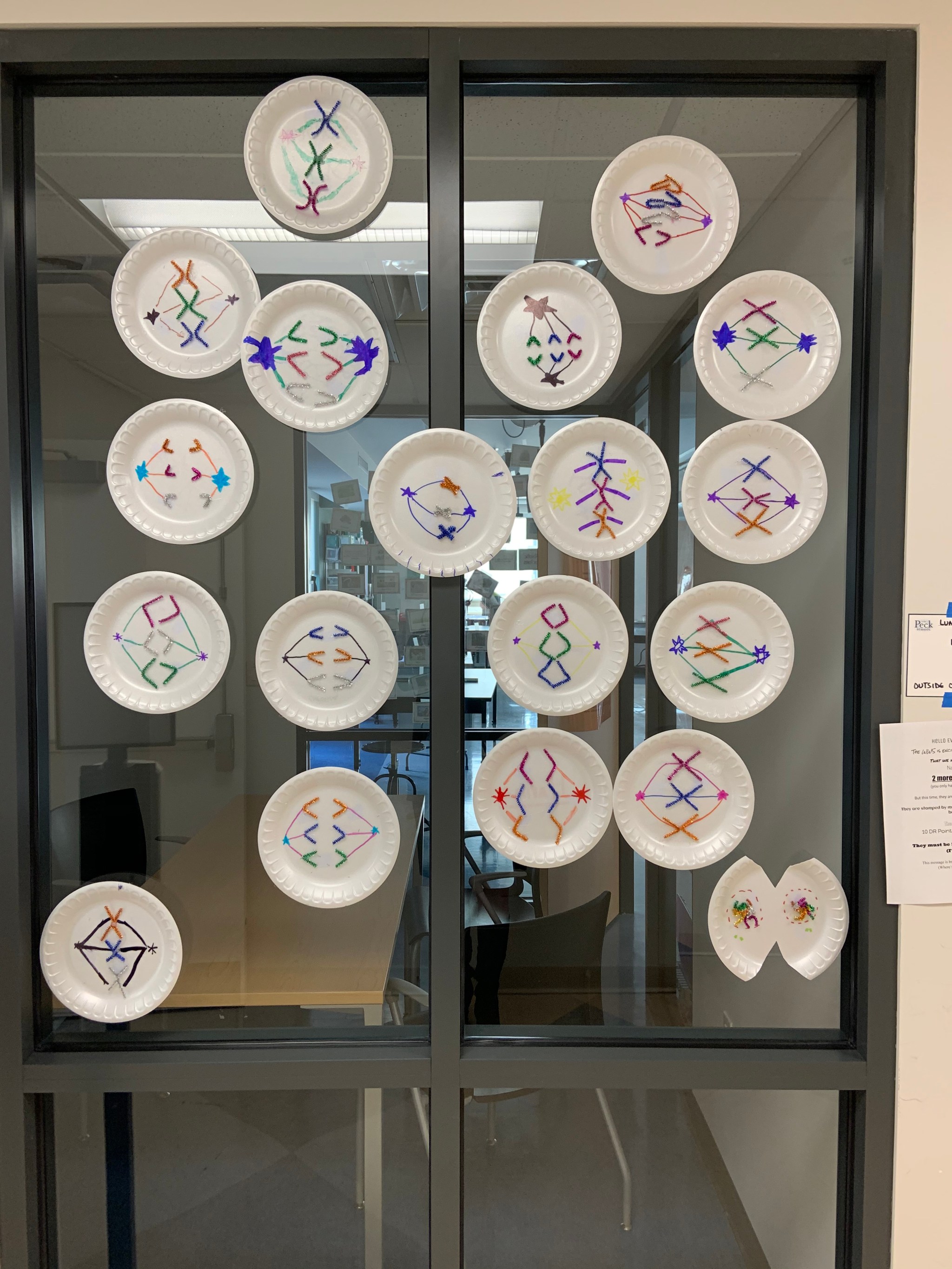 Mitosis Paper Plates – Middle School Science Lessons